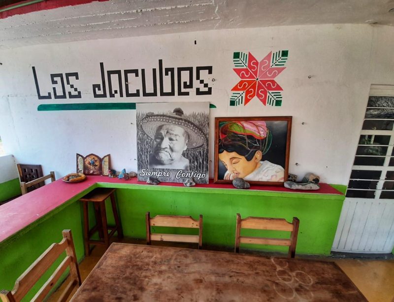 [VIDEO] Los Jacubes, tradición y sazón huasteco que enamora al paladar ...