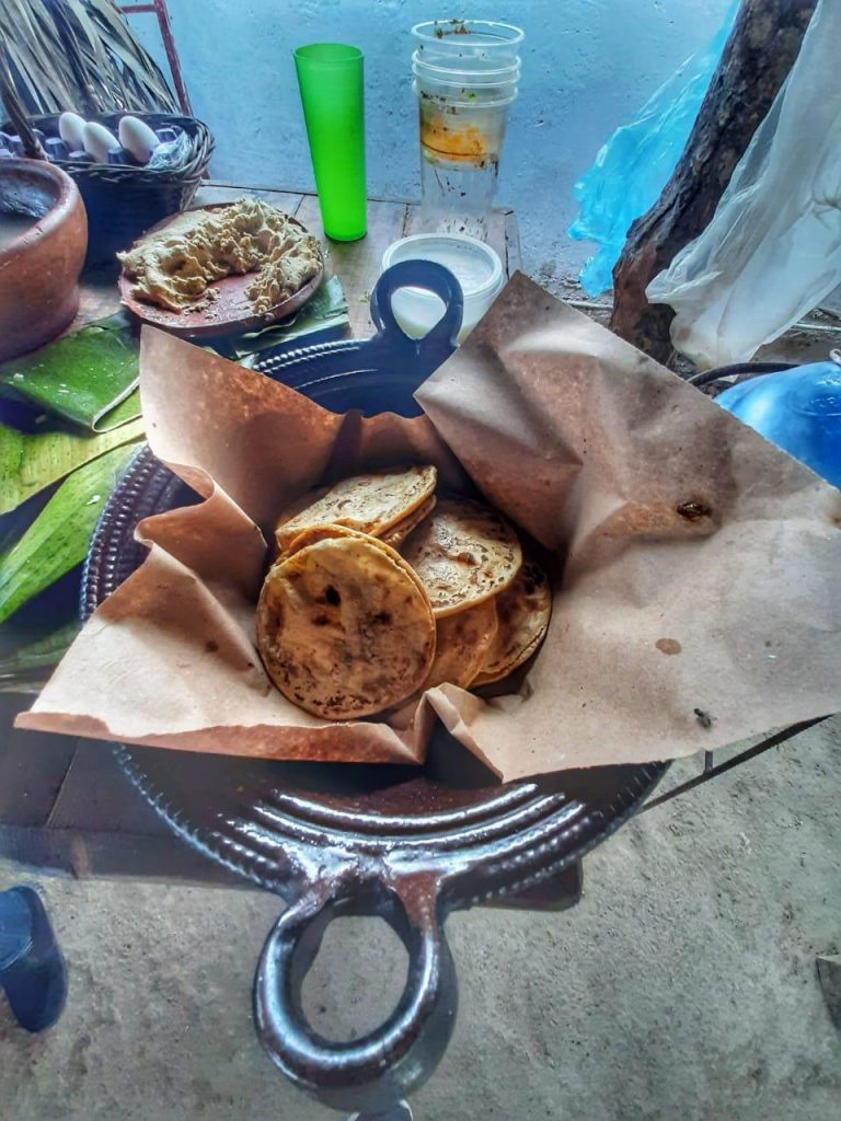 [VIDEO] Los Jacubes, tradición y sazón huasteco que enamora al paladar ...