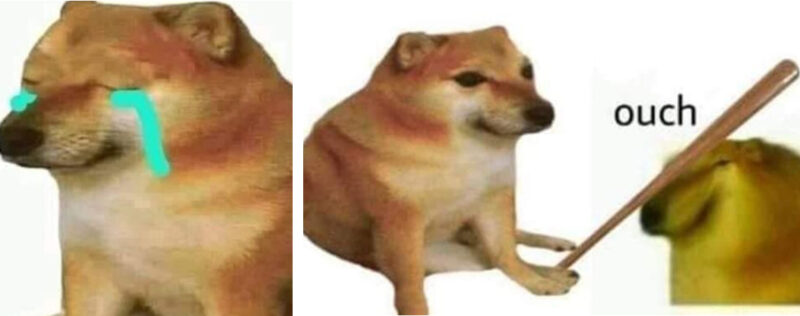 ¡Me da ansiedad! Cheems se encuentra gravemente enfermo