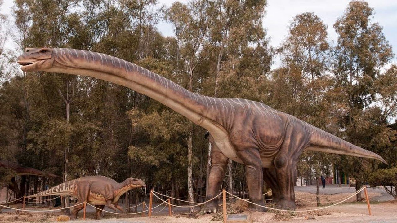 Conoce Al Patagotitan Mayorum El Dinosaurio M s Grande De Todos