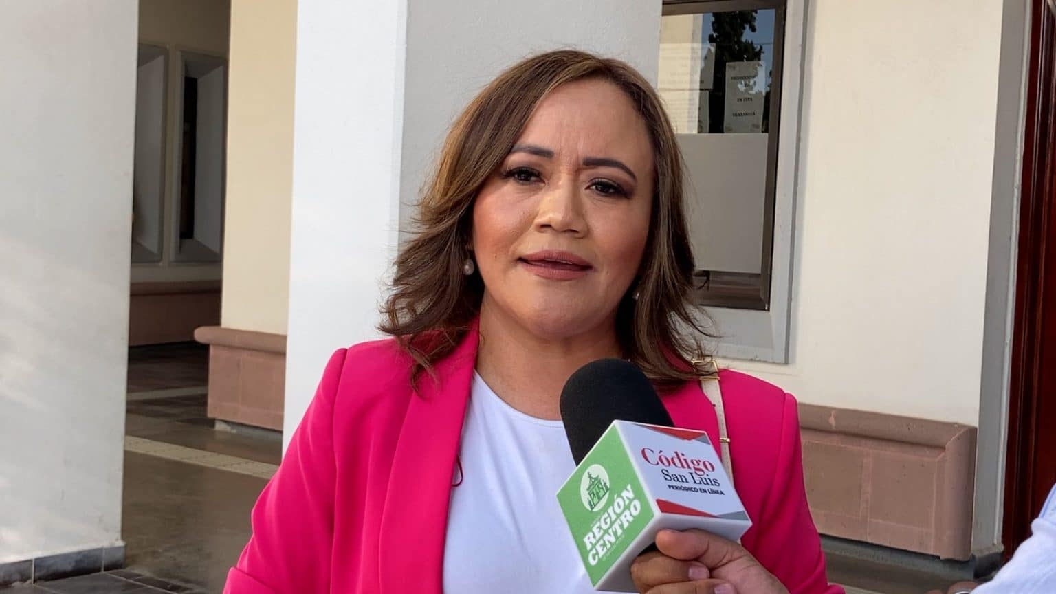 [VIDEO] Sin justicia no hay paz: Silvia Torres, candidata a magistrada ...